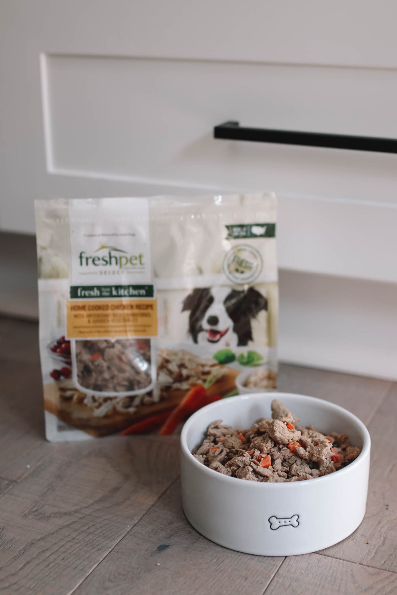 Picky Puppies Prefer Freshpet Food v. Kibble | Freshpet